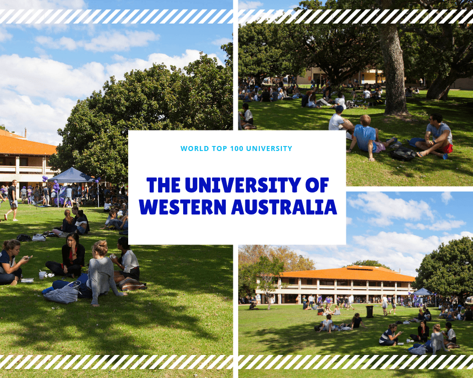 What makes University of Western Australia (UWA) different? - AECC Global